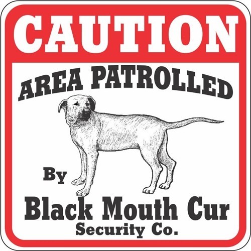 Raining Cats and Dogs | Black Mouth Cur Caution Sign, the Perfect Dog ...